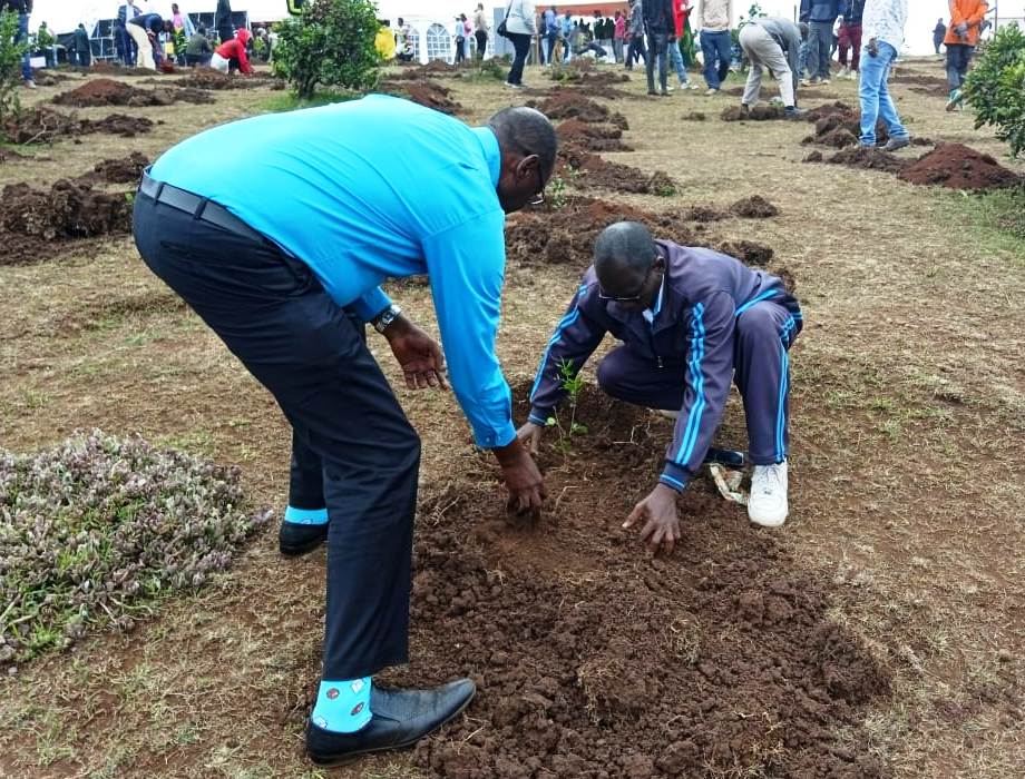 Library Participates at President William Ruto’s Launch of Tree ...