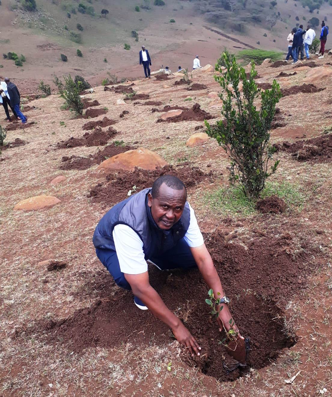 Library Participates at President William Ruto’s Launch of Tree ...